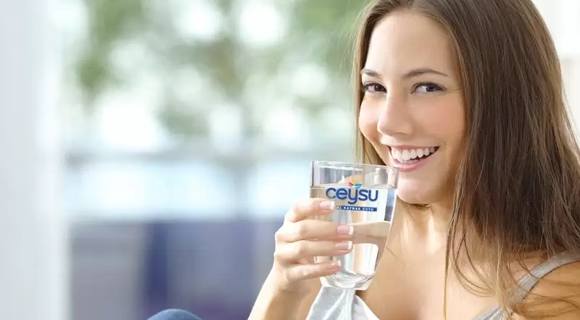 Ceysu Turkish Mineral Water Vs. Regular Water: What’s The Difference ...