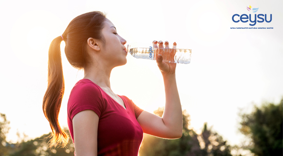 Natural Alkaline Spring Water vs Mineral Water – Ceysu